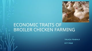 Poultry economic traits of broiler chicken.pptx