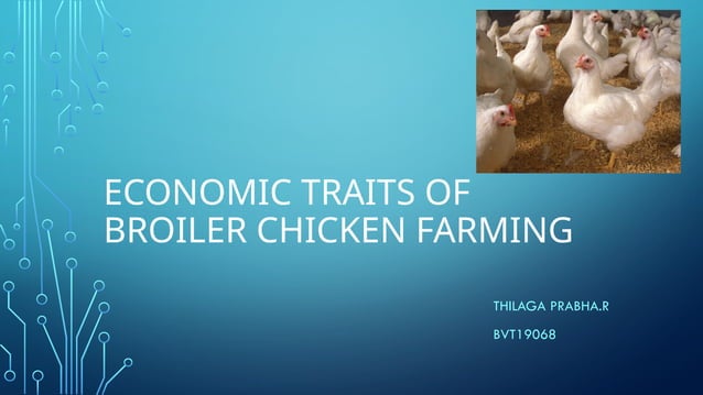 Poultry economic traits of broiler chicken.pptx