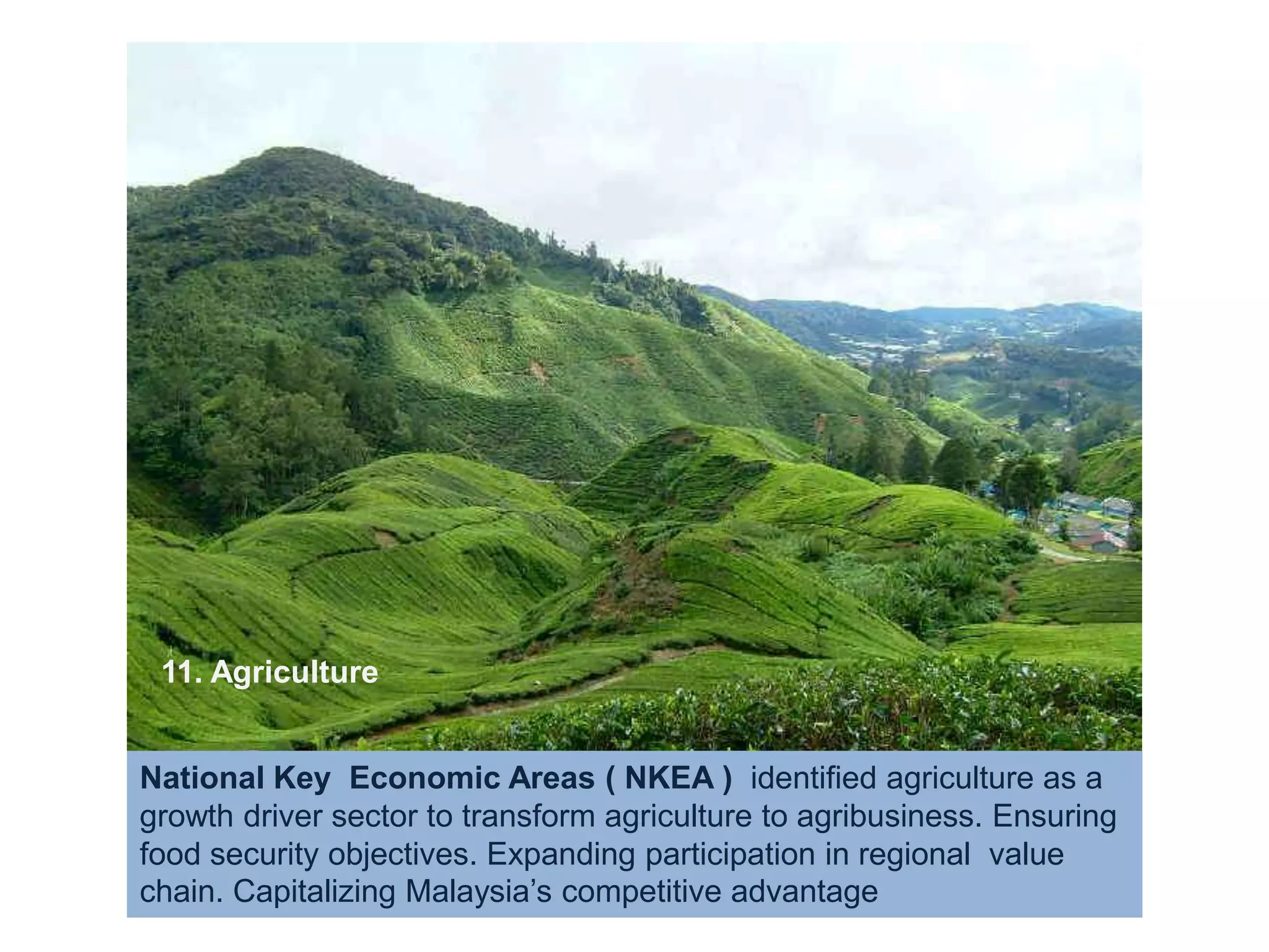 Economic Transformation Programme Malaysia | PPTX
