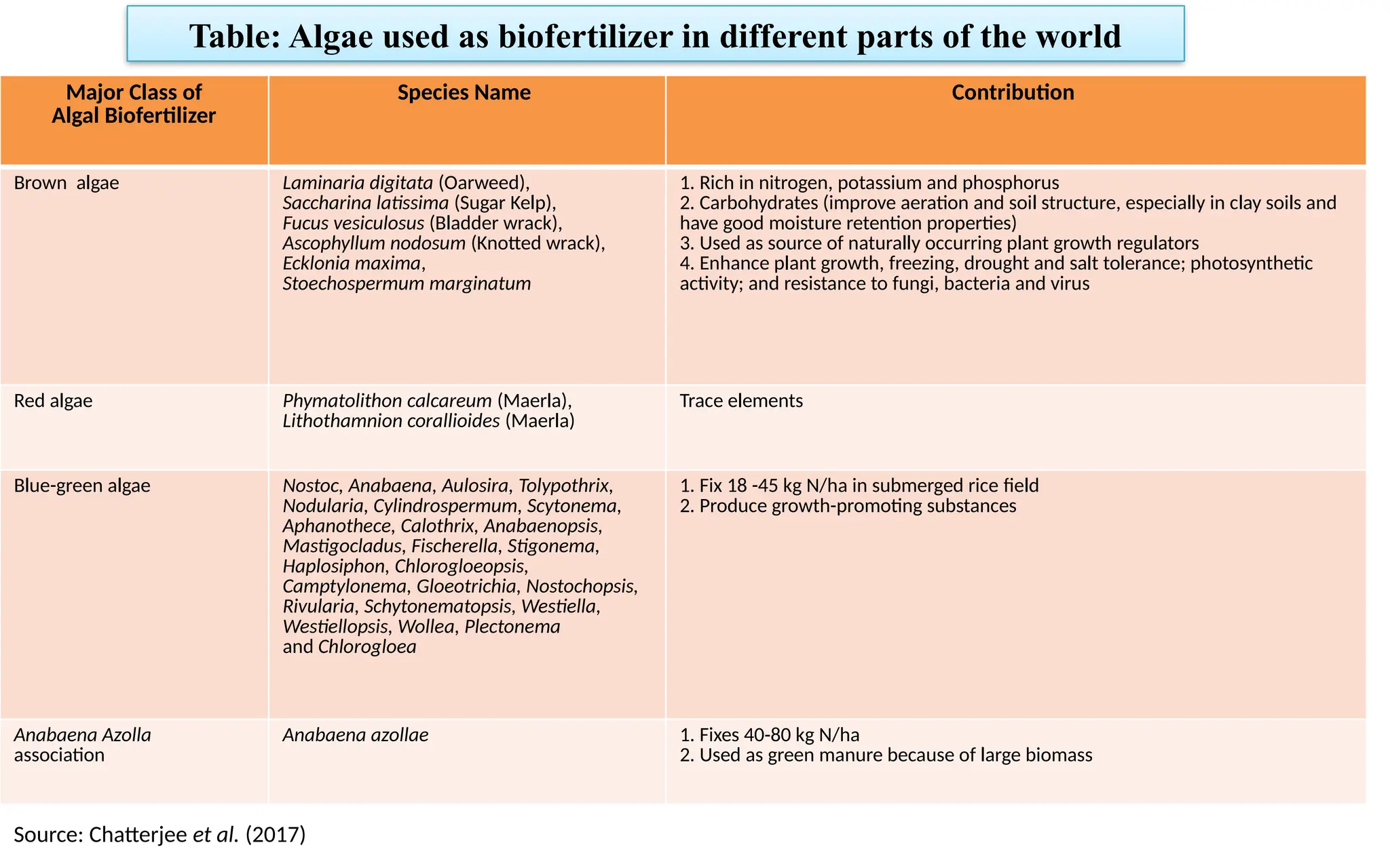 Economic Uses of Algae or Economic importance of Algae | PPTX