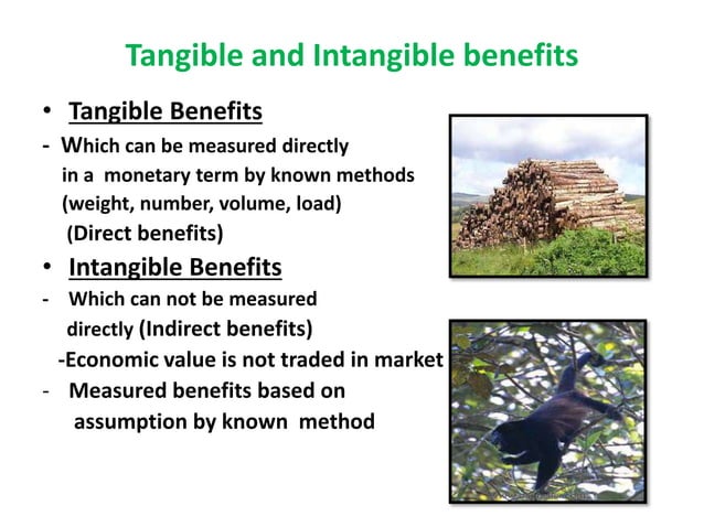 Economic valuation of forest ecosystem | PPTX | Agriculture | Industries