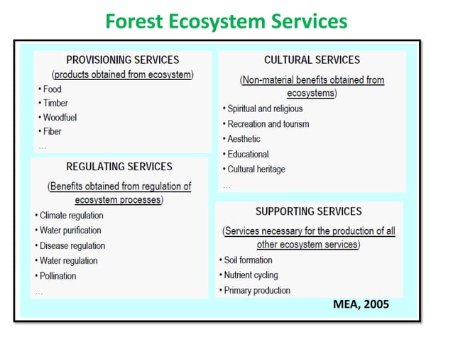 Economic valuation of forest ecosystem | PPTX | Agriculture | Industries