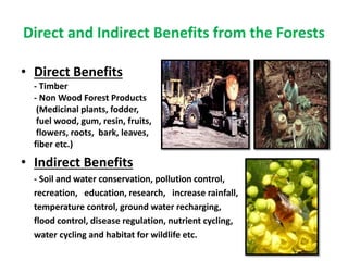 Economic valuation of forest | PPTX