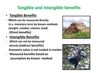 Economic valuation of forest | PPTX
