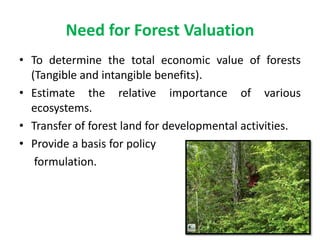Economic valuation of forest | PPTX