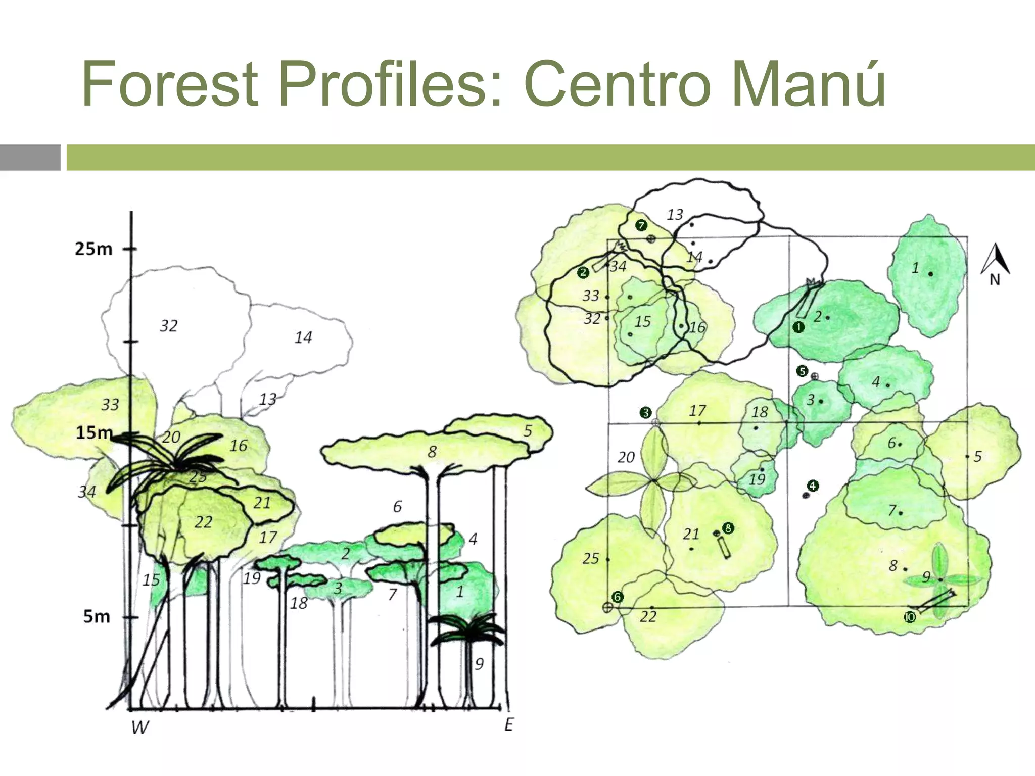 Comparison of Managed and Unmanaged Tropical Forests in Costa Rica | PPTX