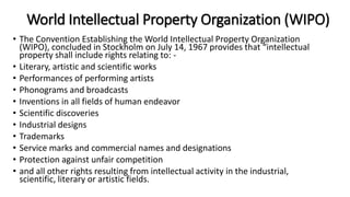 Economic value of intellectual property | PPTX