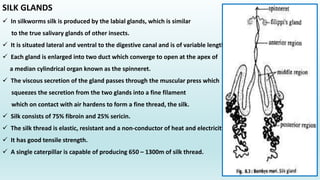 Economic value of products of silkworm [autosaved] | PPTX