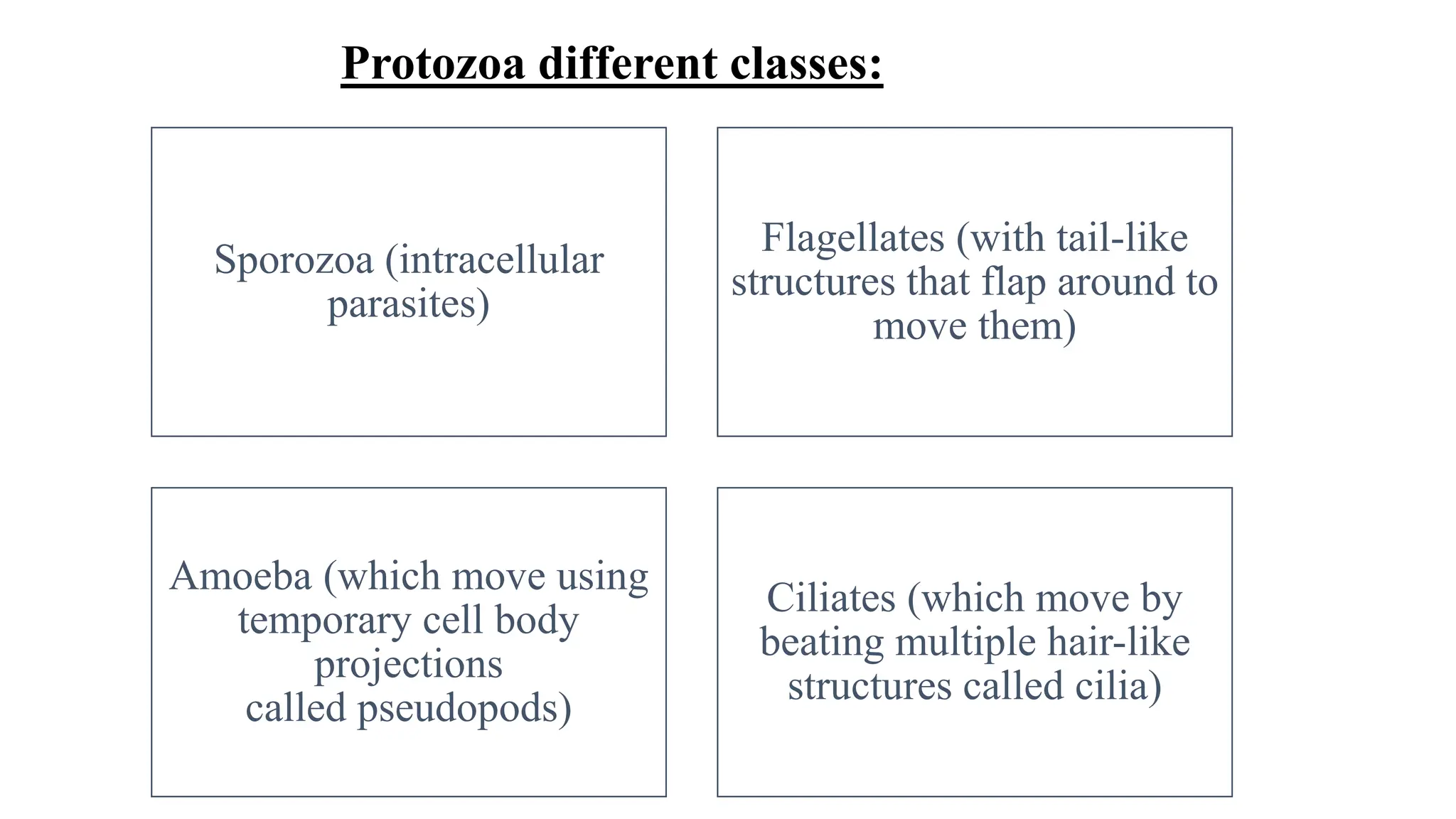 ECONOMIC ZOOLOGY (LECTURE 1).pptx
