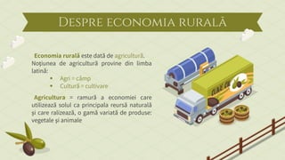 Economie rurala in Romania.pptx