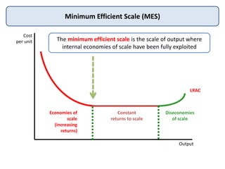 Minimum Efficient Scale