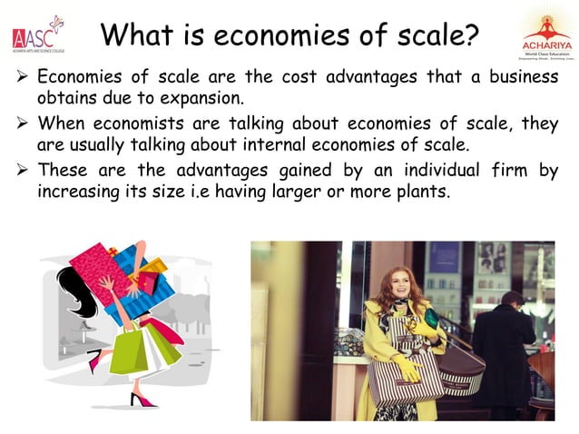 Economies of scale | PDF