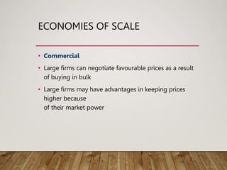economies of scale.ppt