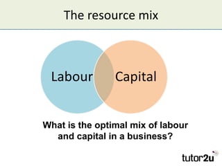 Economies of Scale and Resource Mix | PPT