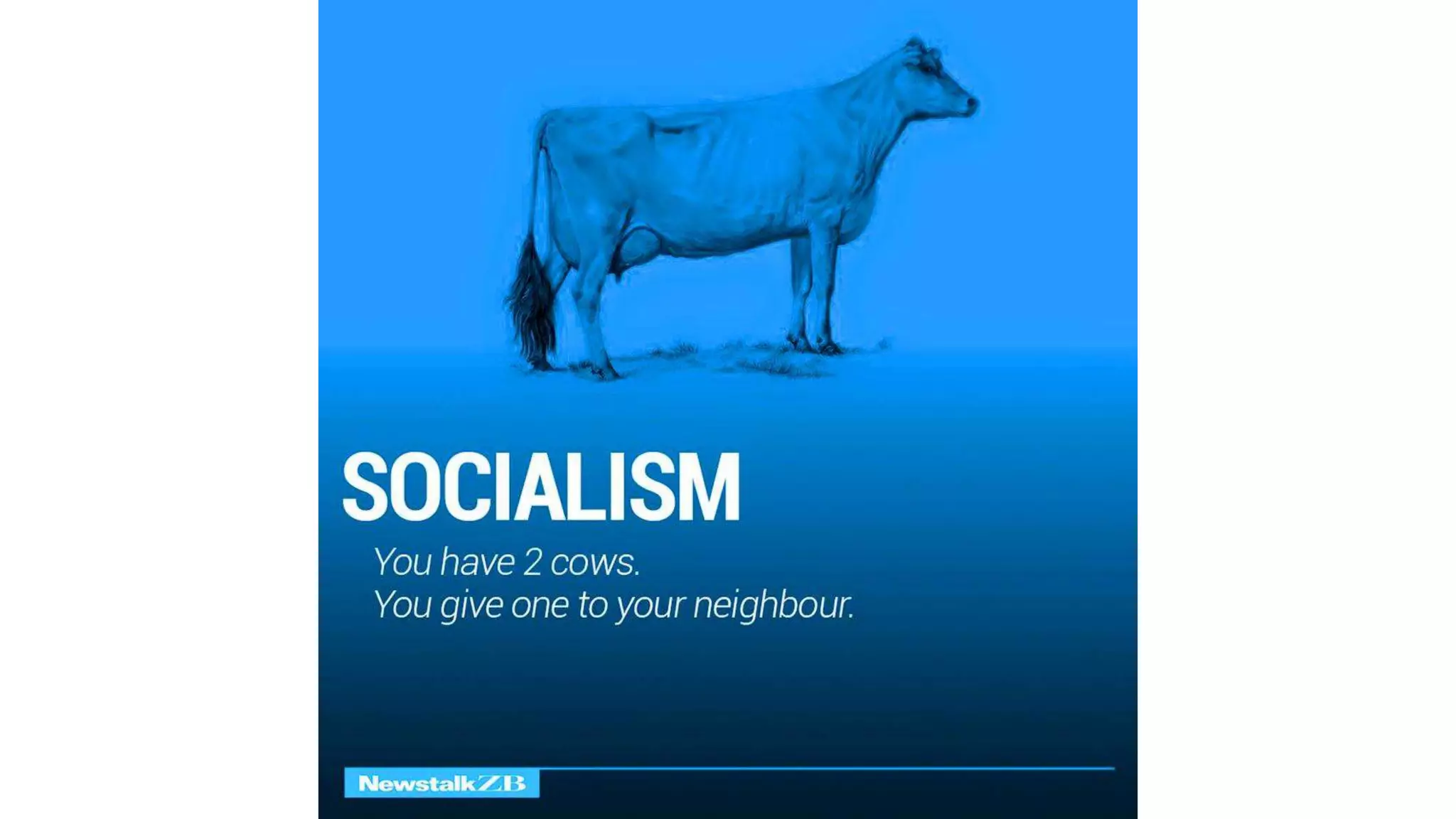 The Cow Economy | PPTX