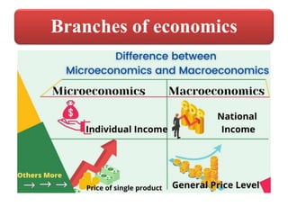 ECONOMY-INTRODUCTION.pptx