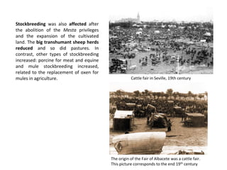 Economy and society in Spain during the 19th century | PPTX
