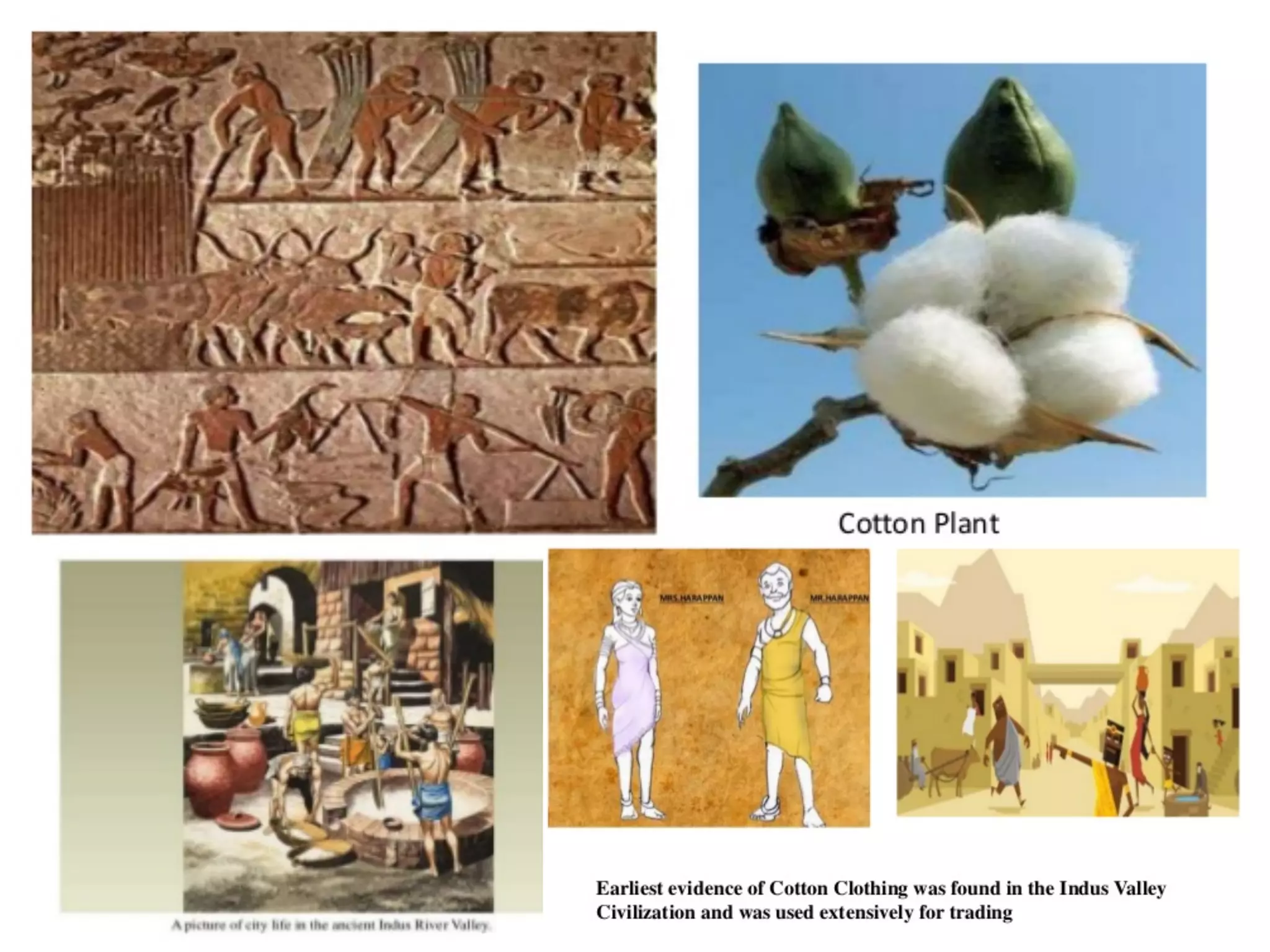 Economy of indus valley | PDF