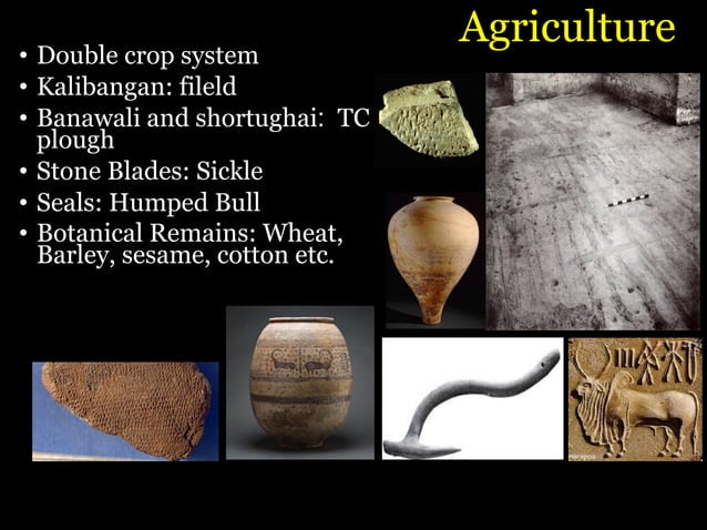 Economy of indus valley | PDF