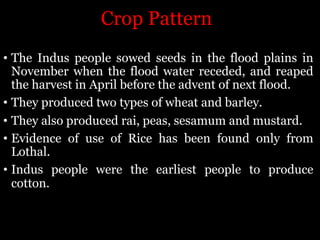 Economy of indus valley | PDF