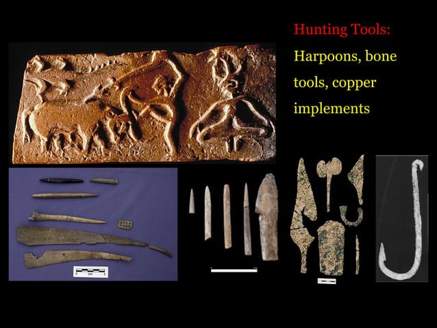 Economy of indus valley | PDF