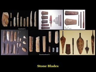 Economy of indus valley | PDF