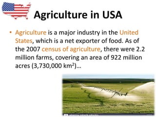 Economy of usa | PPTX