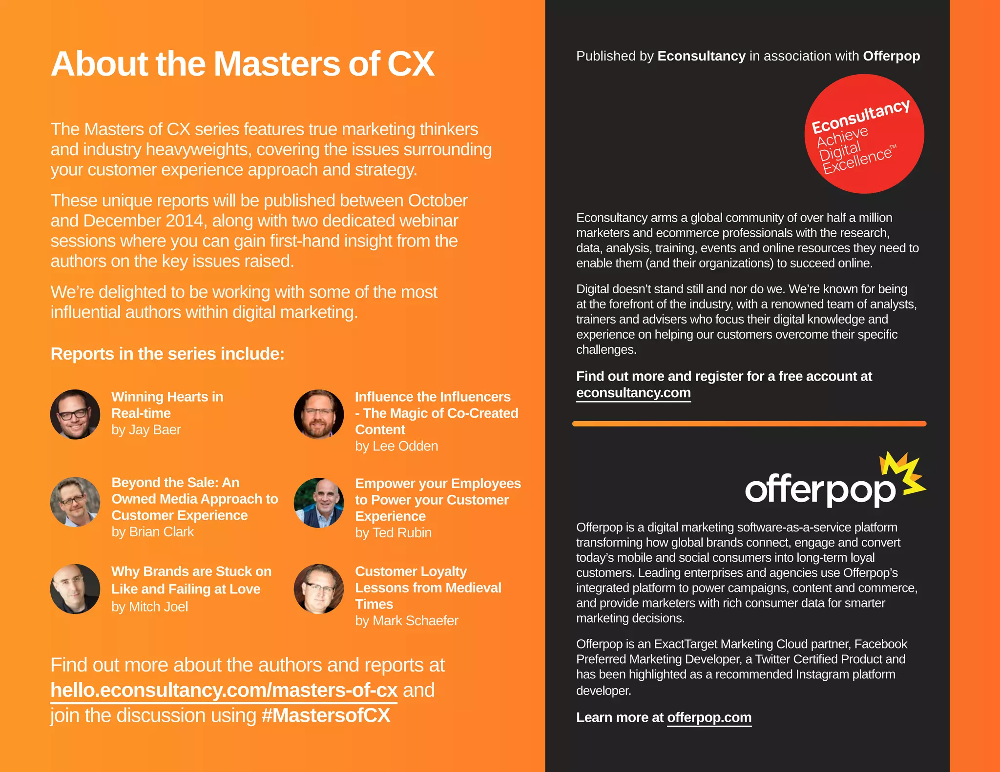 Ultimate Customer Experience Guide | PPT