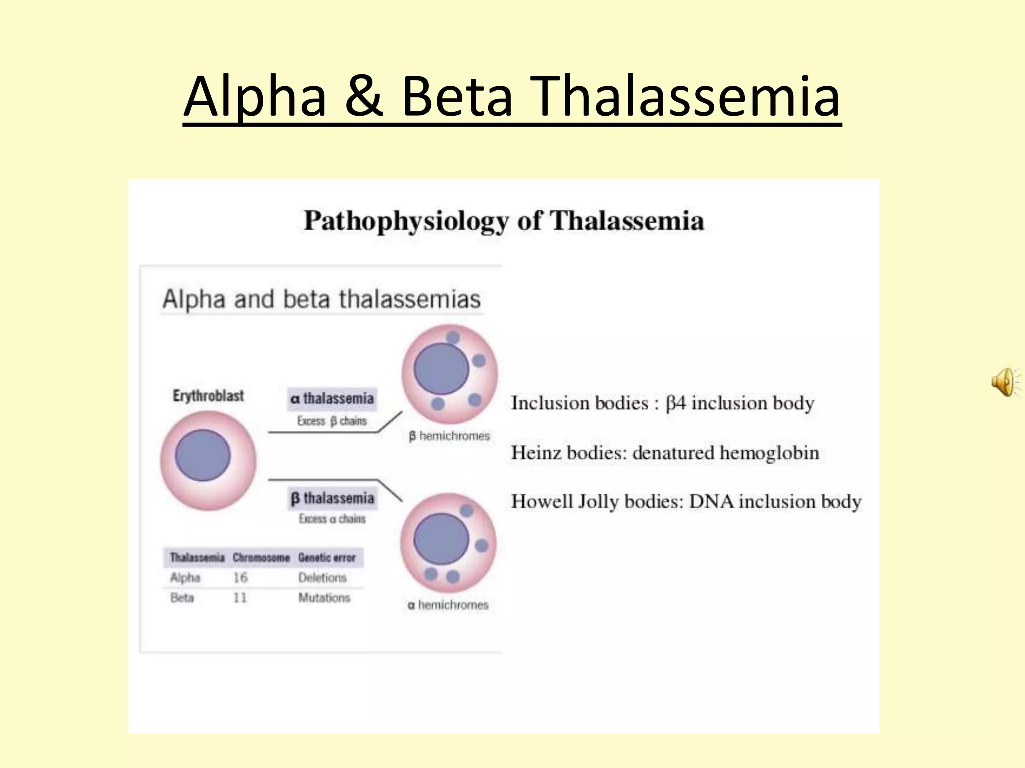 Thalassemia | PPTX