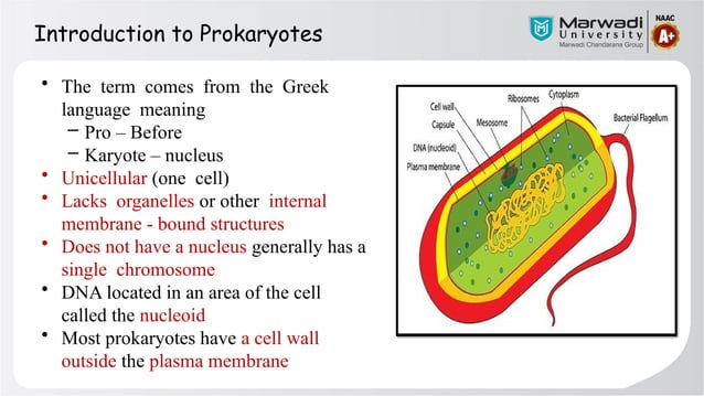 EContent_11_2024_09_13_19_47_18 ...