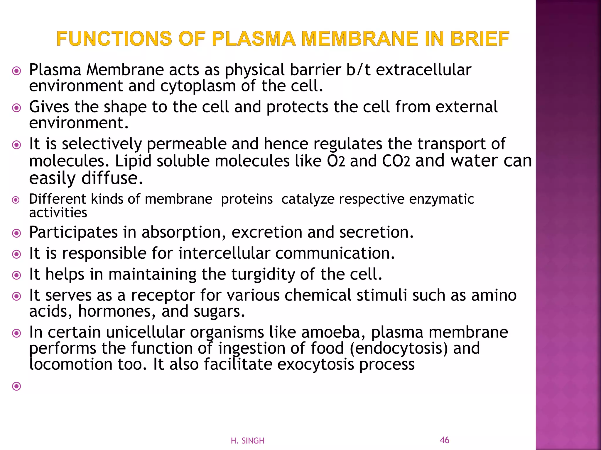 Plasma Membrane (Structure and Functions) | PDF