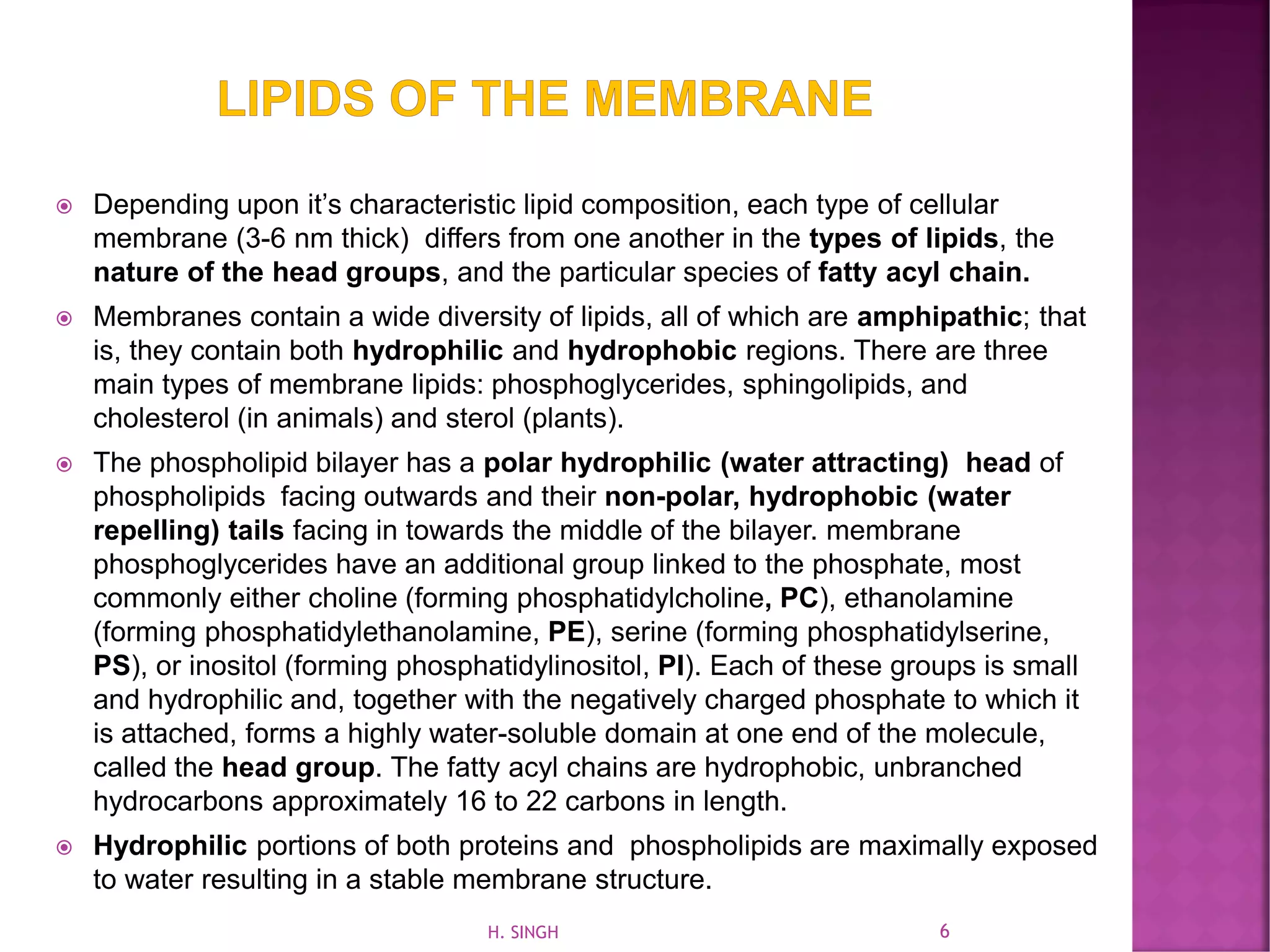 Plasma Membrane (Structure and Functions) | PDF