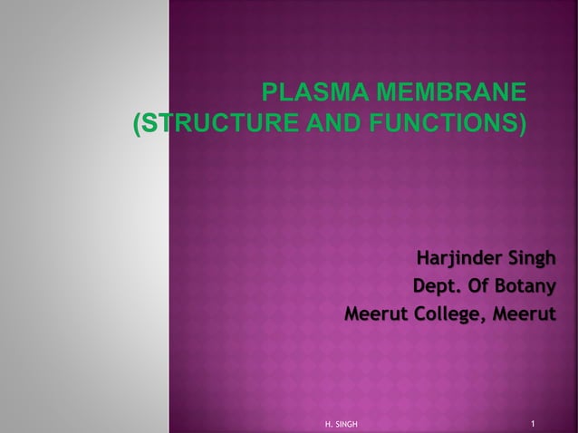Plasma Membrane (Structure and Functions) | PPT