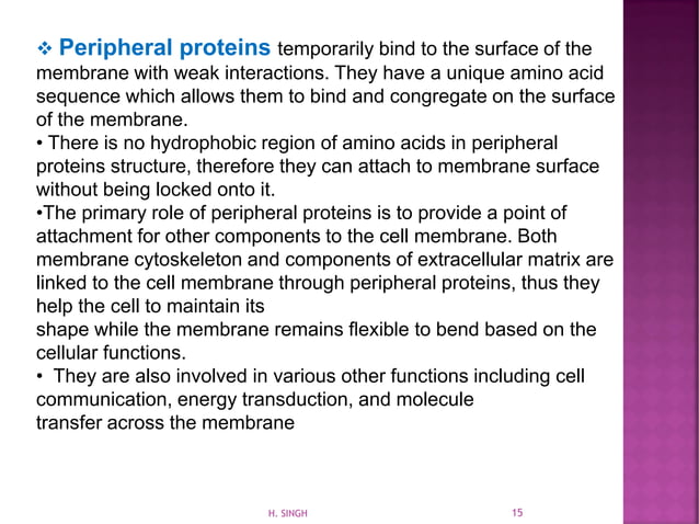 Plasma Membrane (Structure and Functions) | PDF | Biological Sciences | Science