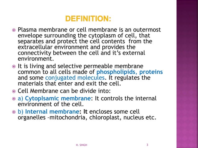 Plasma Membrane (Structure and Functions) | PDF | Biological Sciences | Science