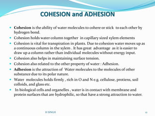 E content 6 the water and its properties converted (1) | PPT