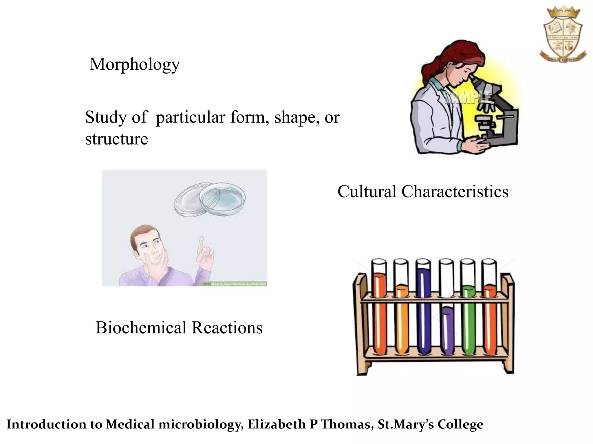 Microbiology:Induction Course-Introduction to Medical Microbiology | PPTX