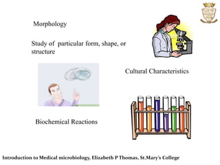 Microbiology:Induction Course-Introduction to Medical Microbiology | PPTX