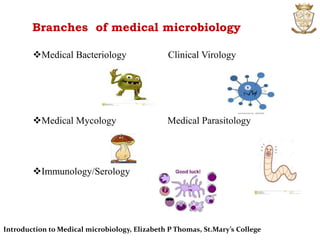 Medical Microbiology Chart