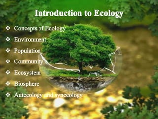 Ecoogy Presentation Pptx