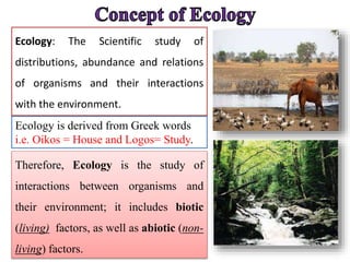 Ecoogy Presentation Pptx