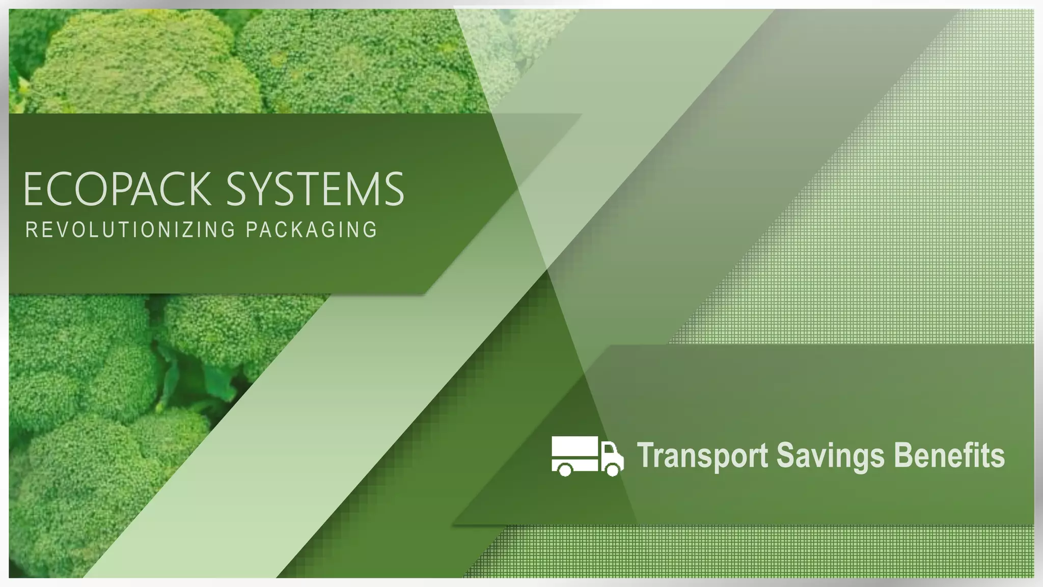 Ecopack systems company presentation | PPTX