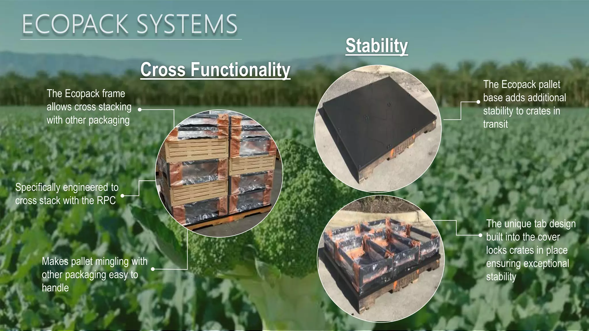 Ecopack systems company presentation | PPTX