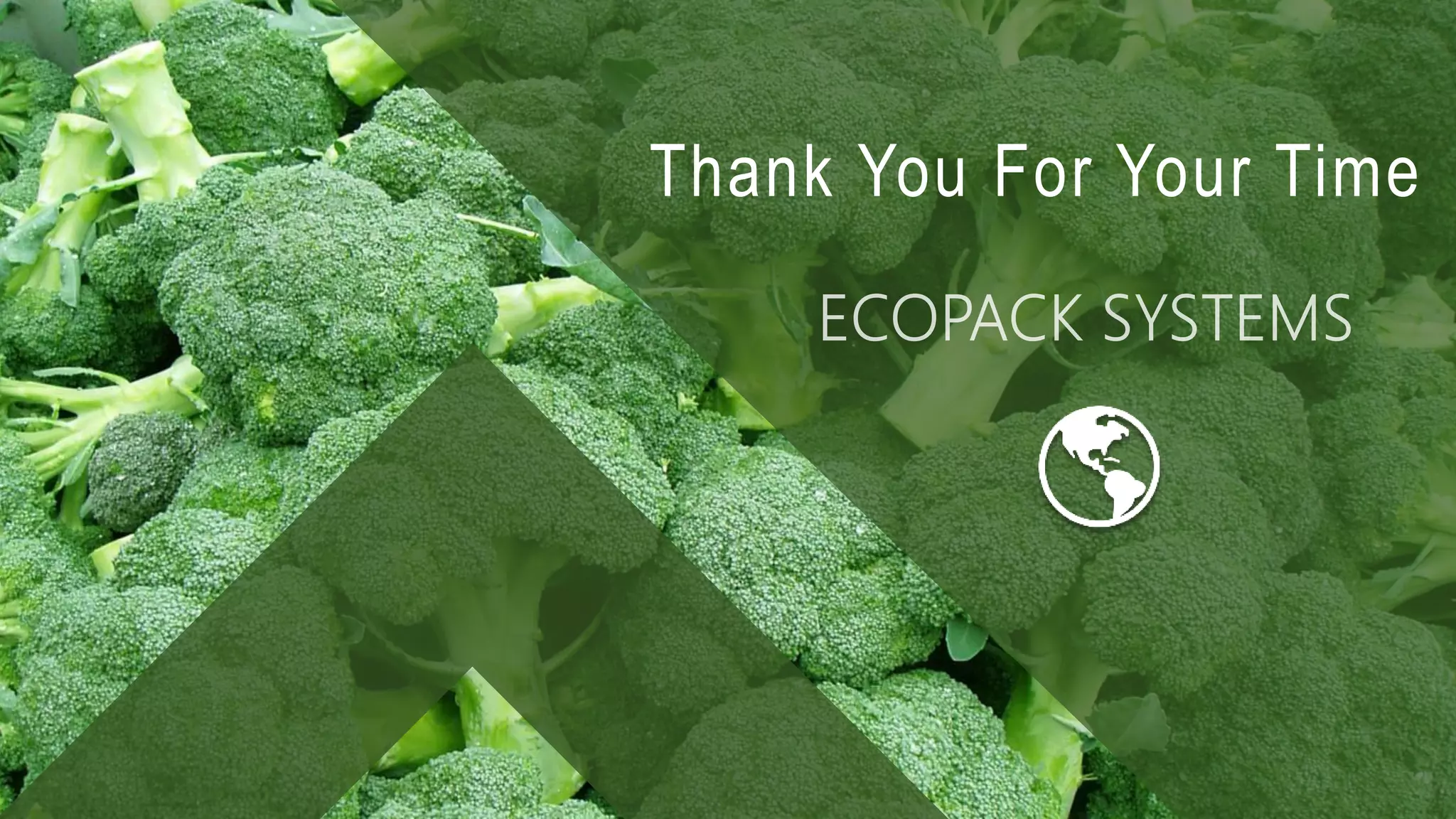 Ecopack systems company presentation | PPTX