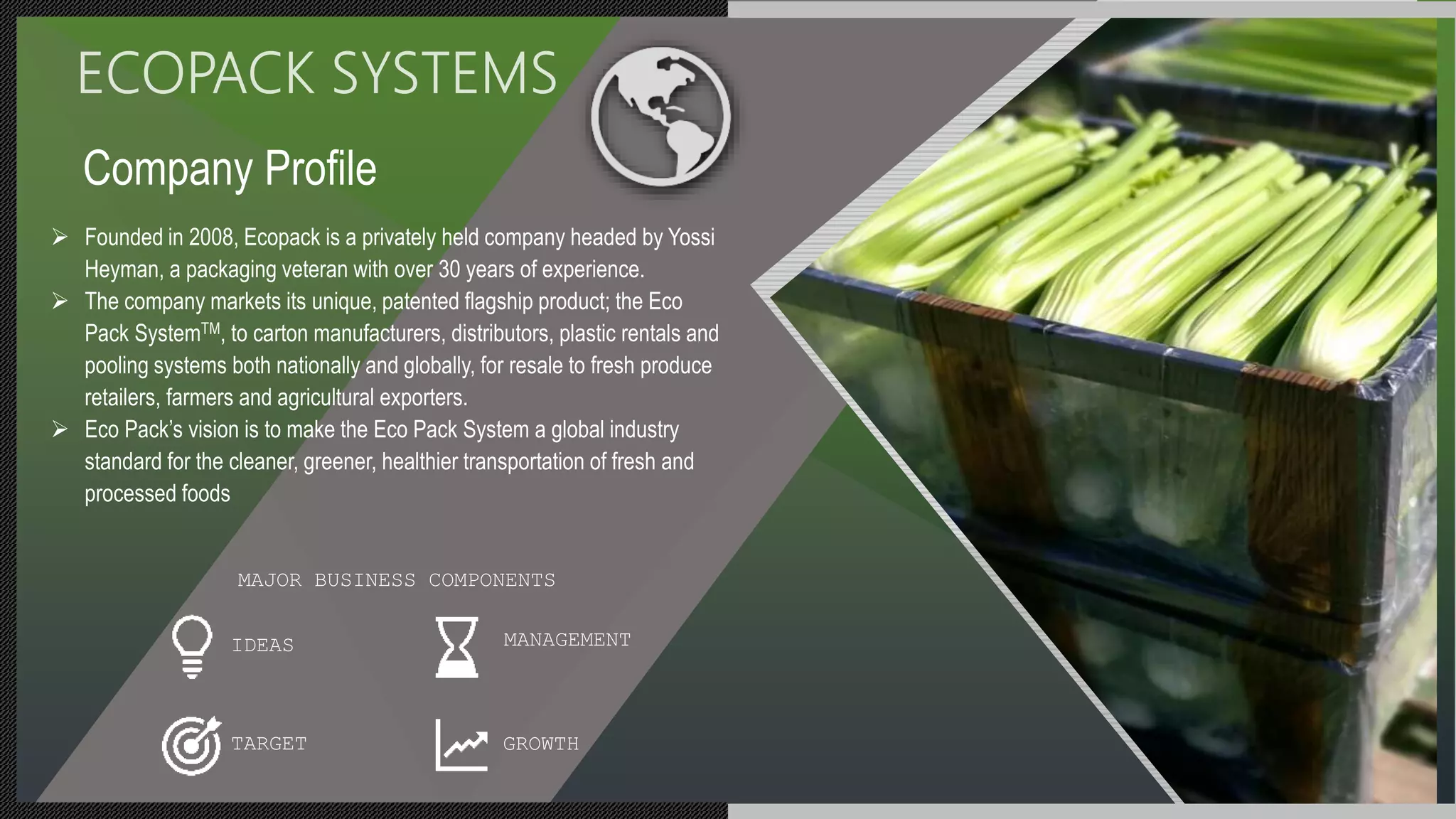 Ecopack systems company presentation | PPTX