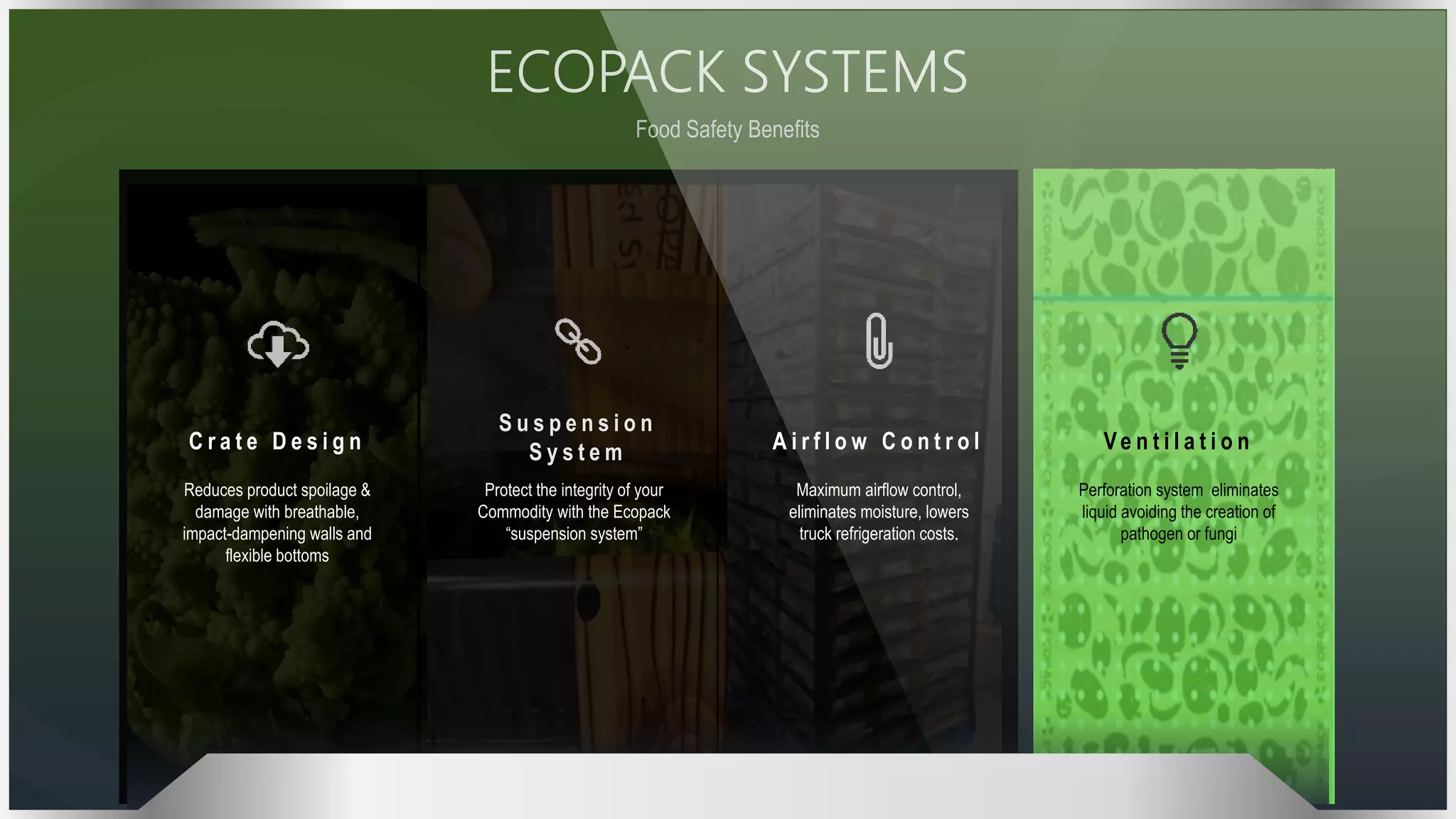 Ecopack systems company presentation | PPTX