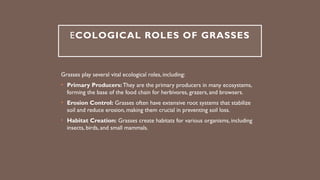 Introduction to Grasses: ecophysiology of grassses | PPTX