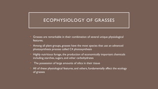 Introduction to Grasses: ecophysiology of grassses | PPTX