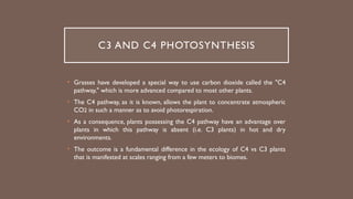 Introduction to Grasses: ecophysiology of grassses | PPTX