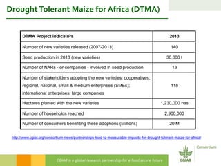 CGIAR Consortium/System Office - Monitoring, Evaluation and Learning | PPT